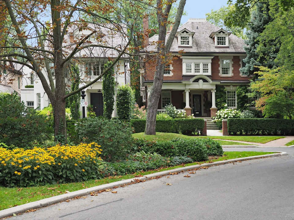 Forest Hill | Neighbourhood Guide