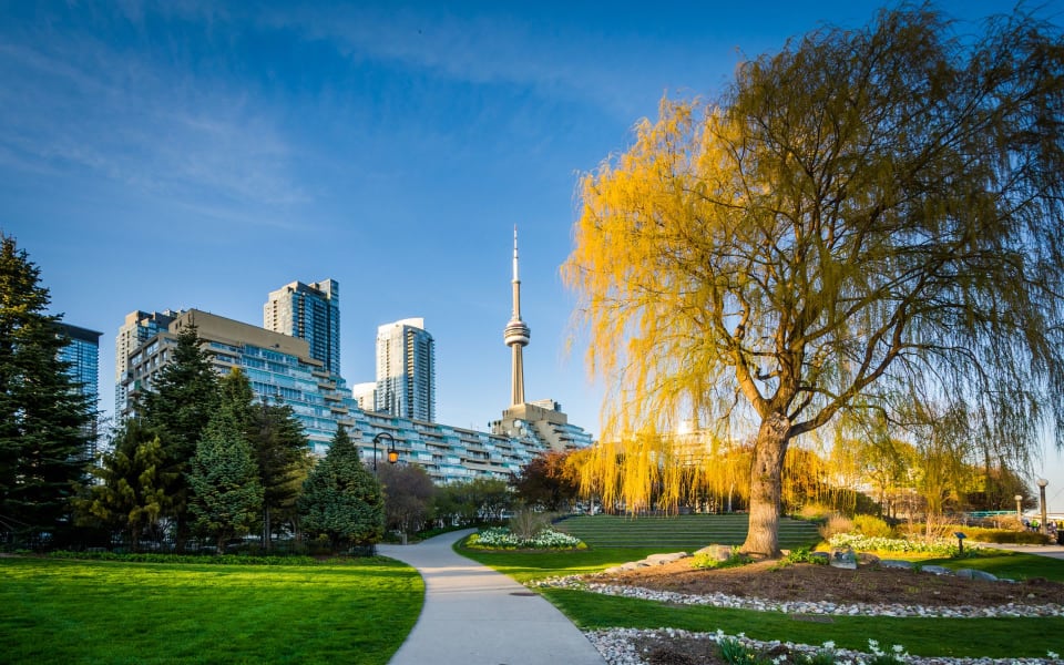 Rosedale | Neighbourhood Guide | Katy Torabi