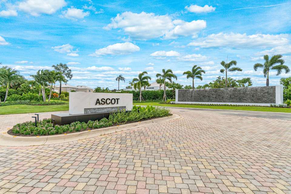 Ascot | Community Guide