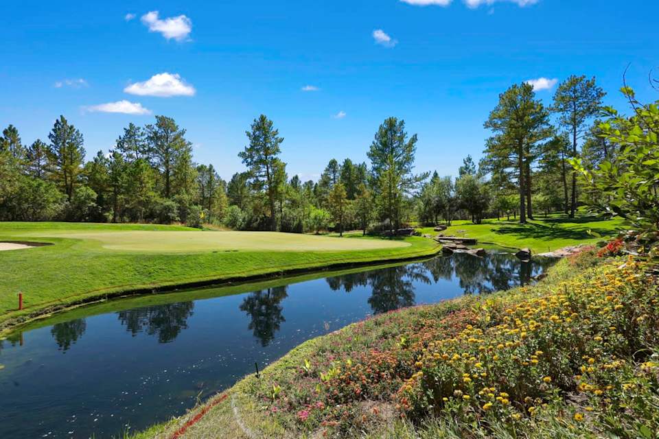 Woodlake (Vass) | Area Guide | Jamie McDevitt