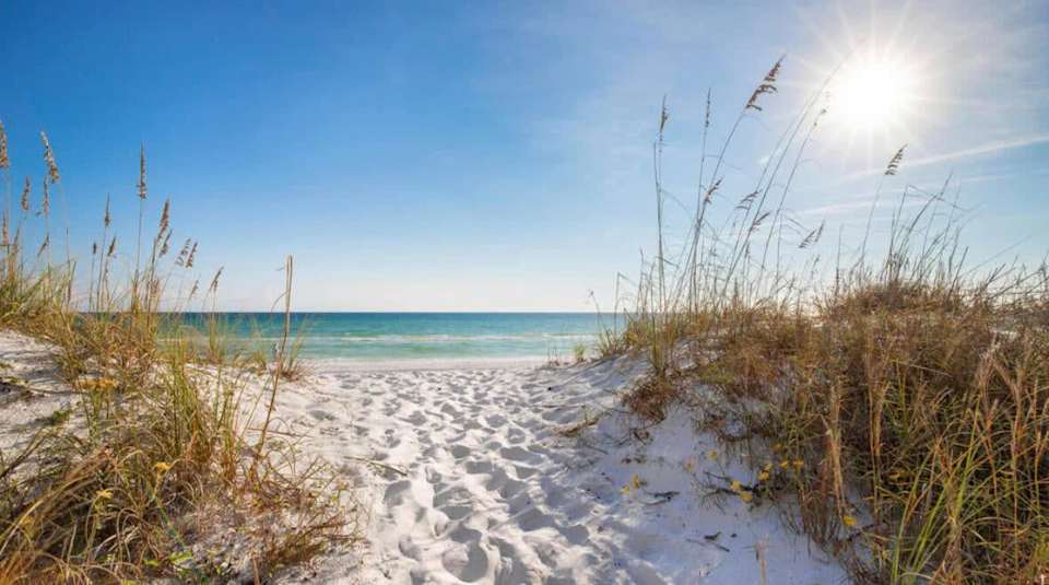 Inlet Beach | Beach Town Guide