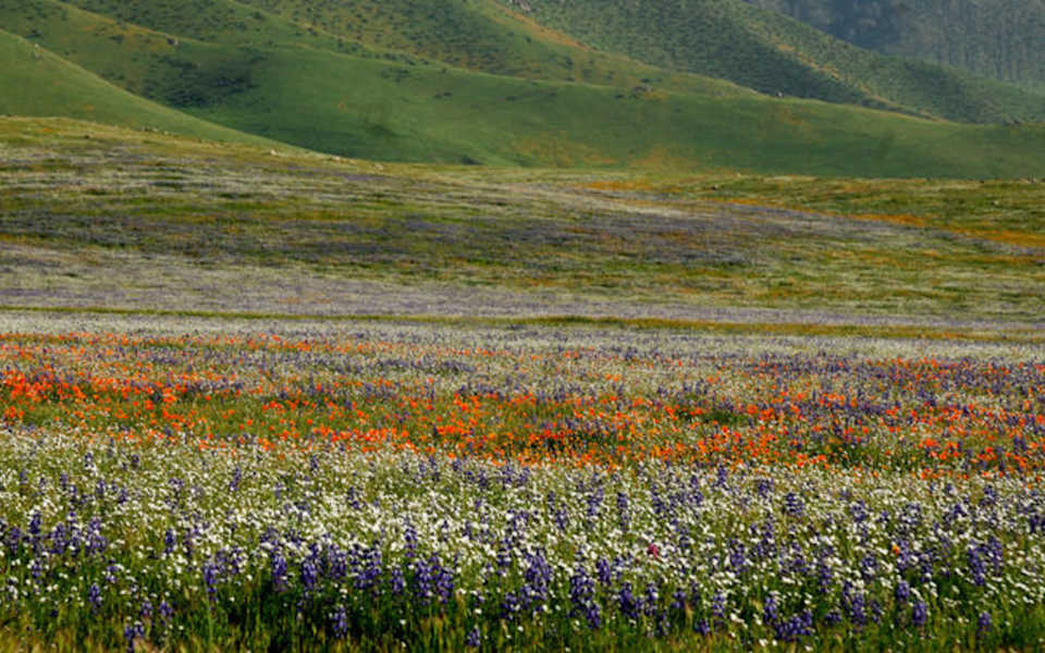 Discover Stallion Springs in Tehachapi | Neighborhood Guide