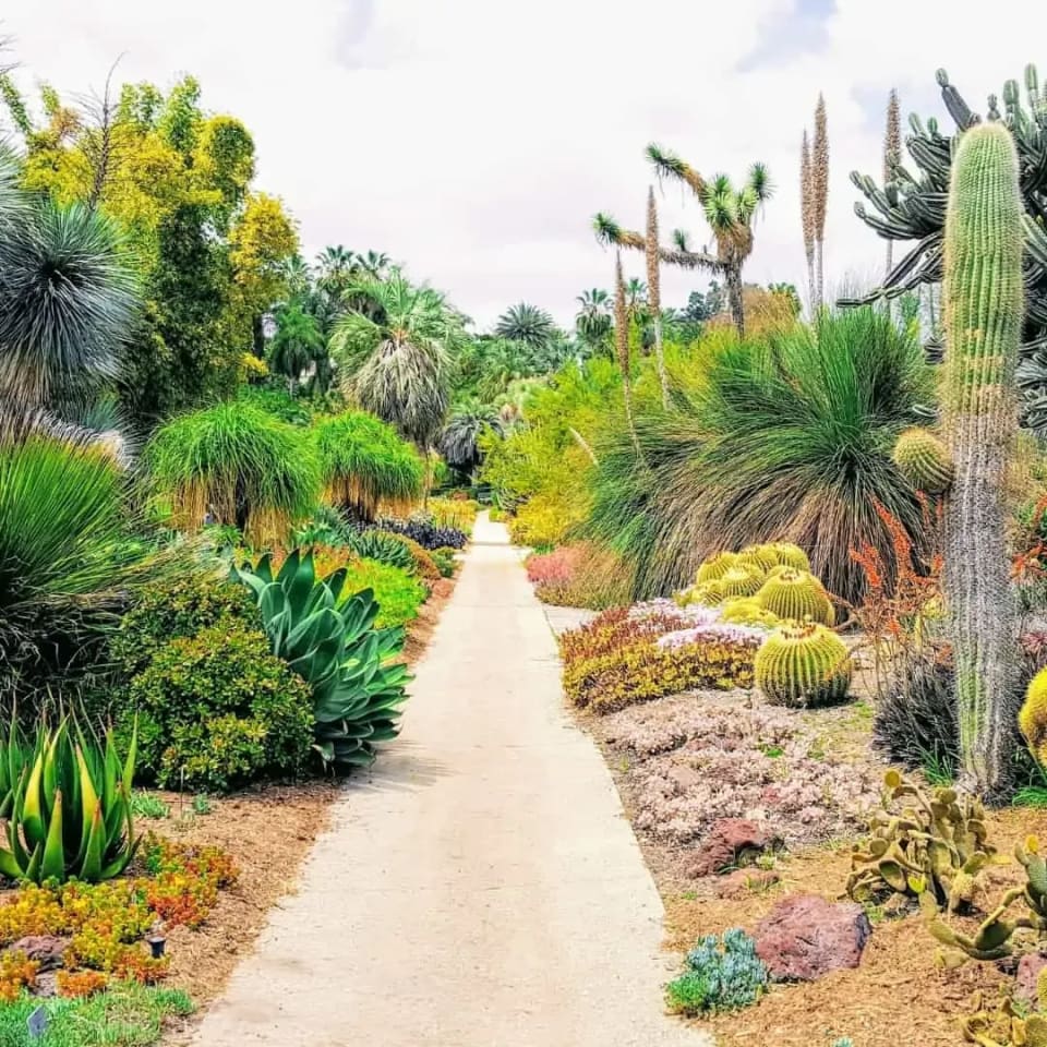 Drought-Friendly Landscape Ideas That Will Increase The Value Of Your ...