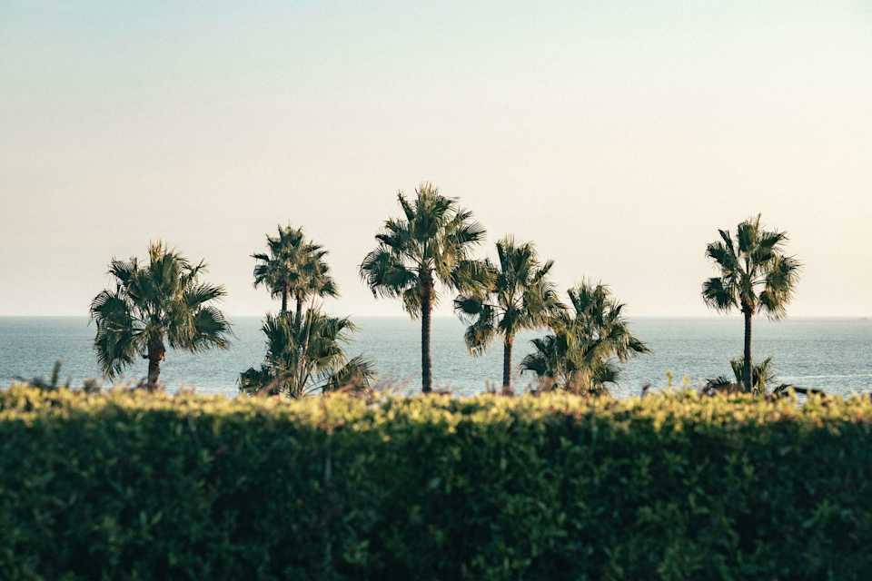 Corona del Mar Homes for Sale | Real Estate | Tracy Tutor