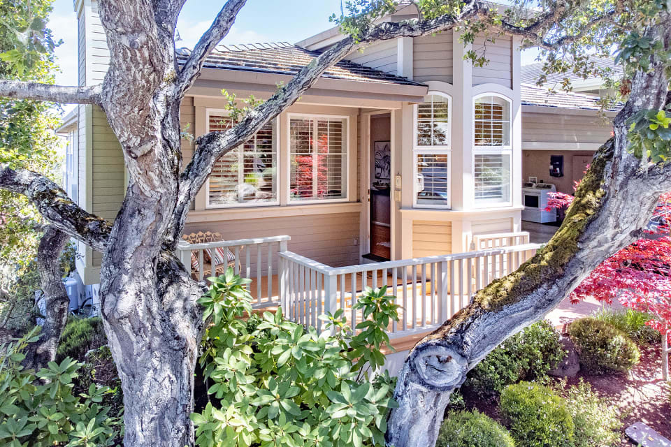 Tim Allen Properties