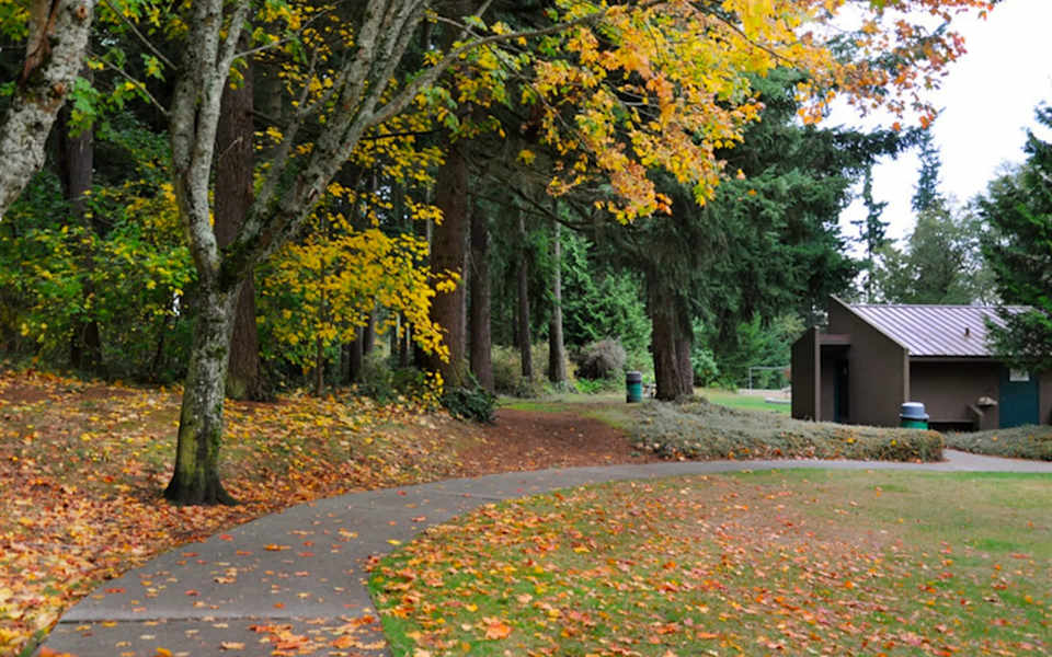 Hiking in Lynnwood: Discovering Nature's Hidden Trails | Blog | Mary Pong