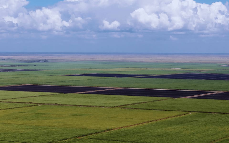 Welcome to Farmland Neighborhood Guide | Zachary Schmidt