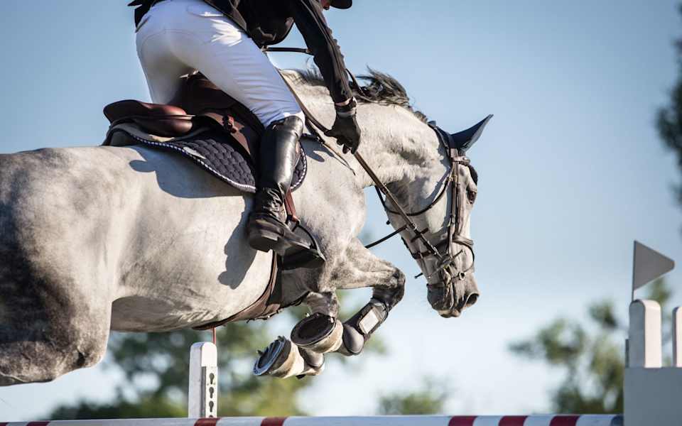 Discover Miami Beach's Hidden Gems at the Longines Global Champions ...