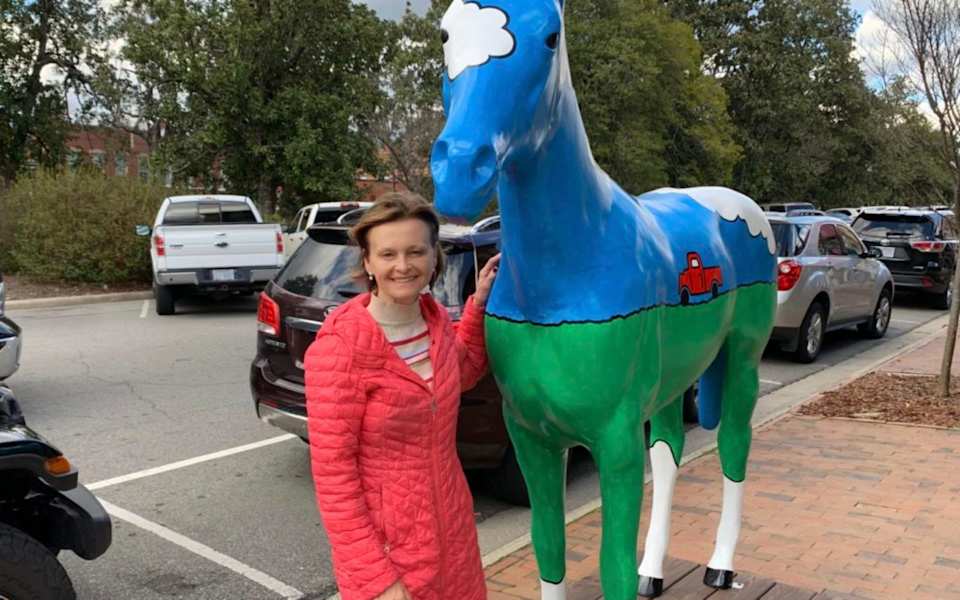 Painted Ponies Everywhere! | Jamie McDevitt