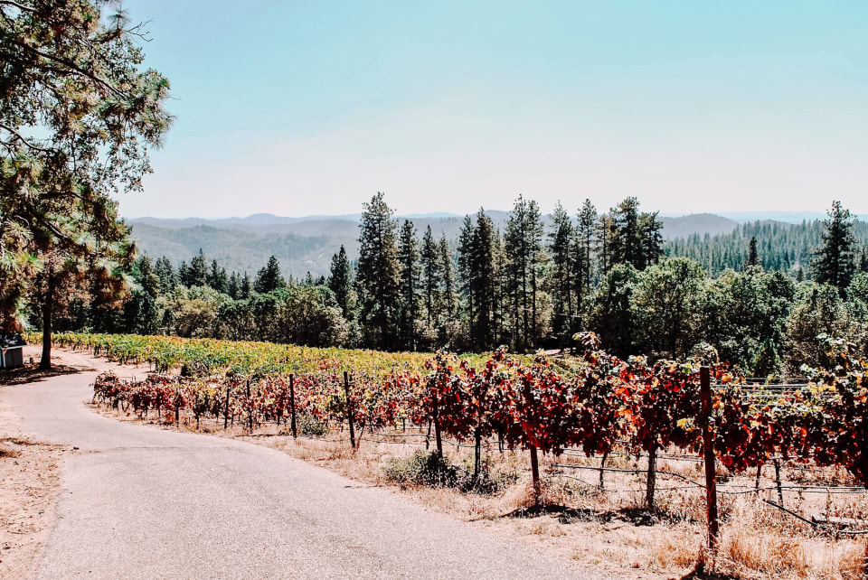 Grass Valley / Nevada City | Neighborhood Guide | Sarah Schulz | Auburn ...