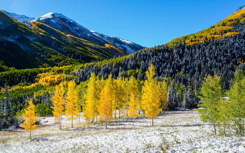 Winter Park | Community Guide