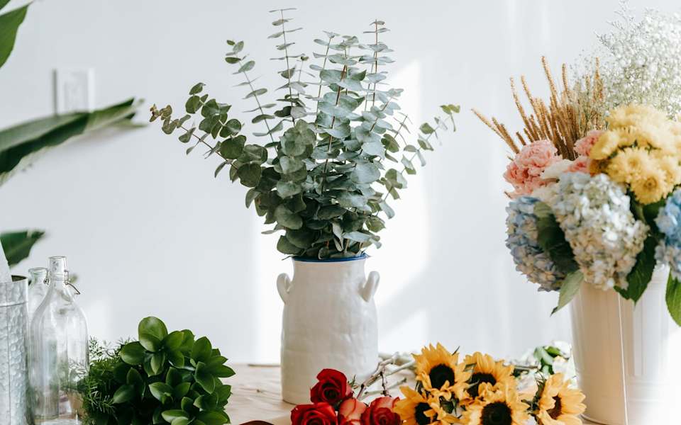 Perennials that Bring Life to A Garden | Julie Little Brewer