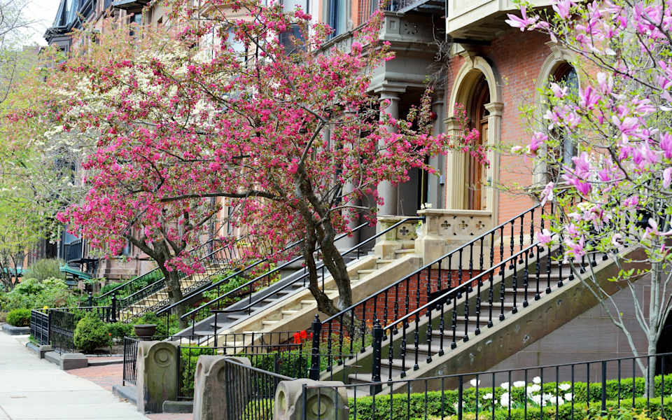 Georgetown & Foxhall Real Estate - Explore Neighborhoods