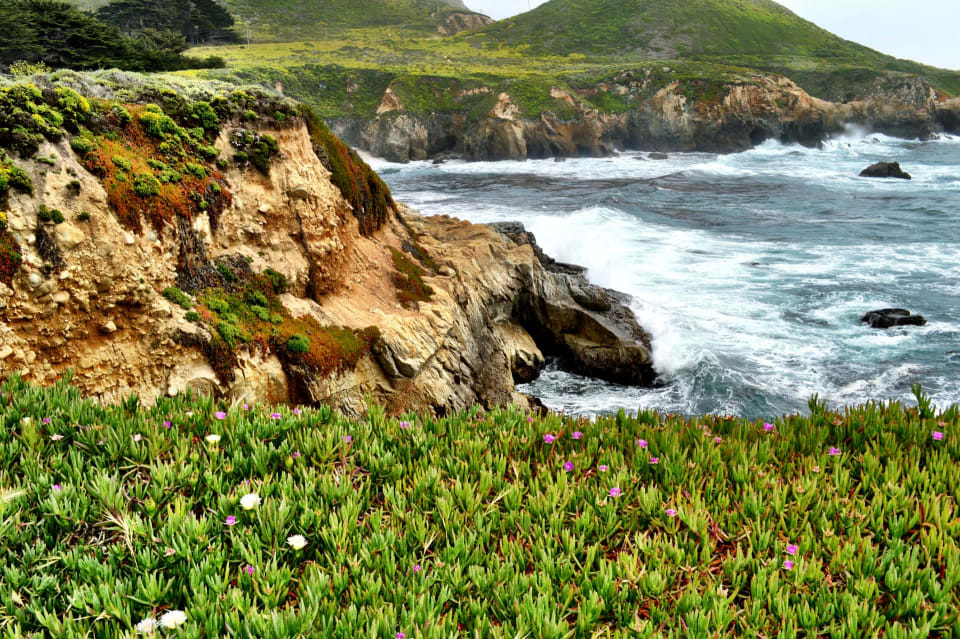 Coastal Luxury in Carmel-by-the-Sea | Carmel Coast Realty