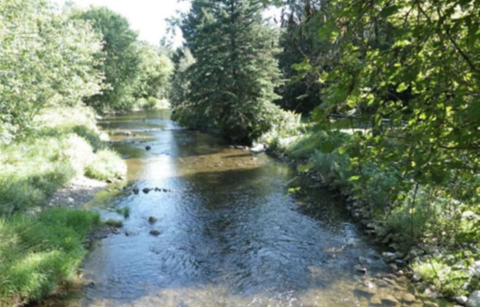 Community News: Exploring Oakville - Bronte Creek Provincial Park ...