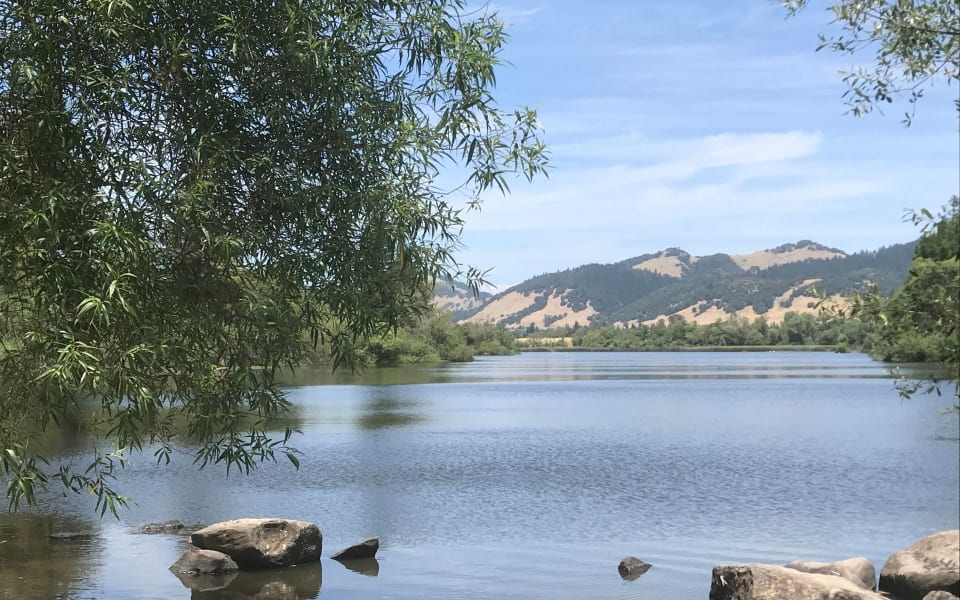 Santa Rosa | Community Guide | Gabe Duran