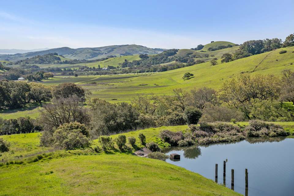 George Ranch, Sonoma | Marin County Real Estate Agent