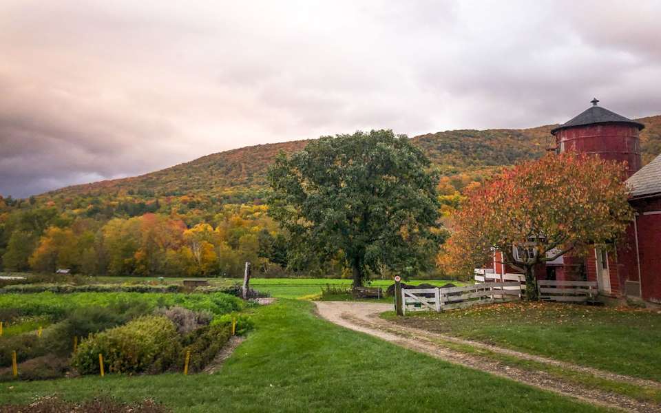 Williamstown | Neighborhood Guide | Birch Properties