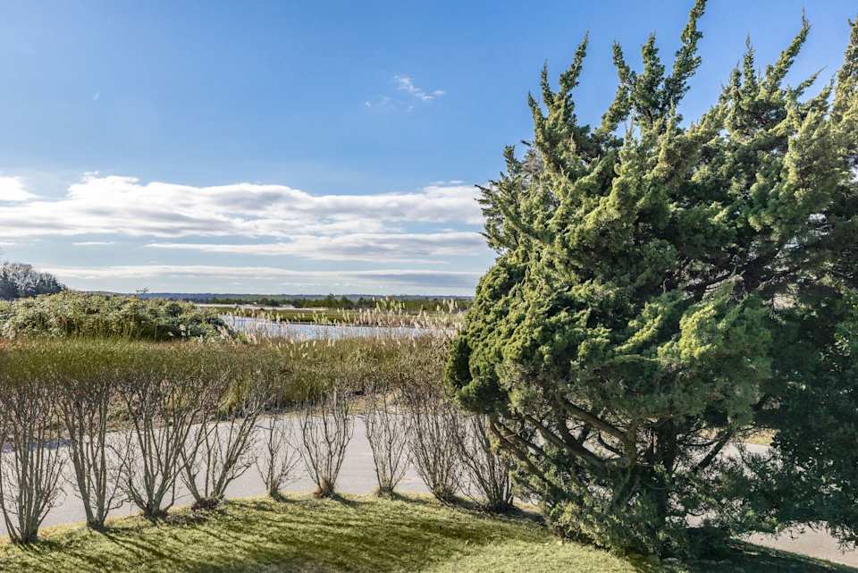 Relaxing Beach Bungalow - Steps from Maidstone Beach | Blog | Burns Team