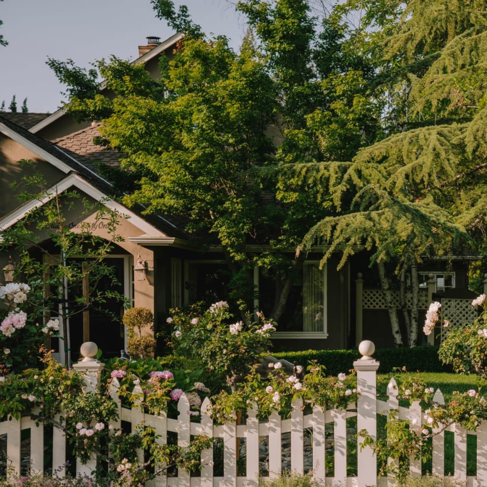 About Hailey Chang | SF Bay Area Real Estate Agent