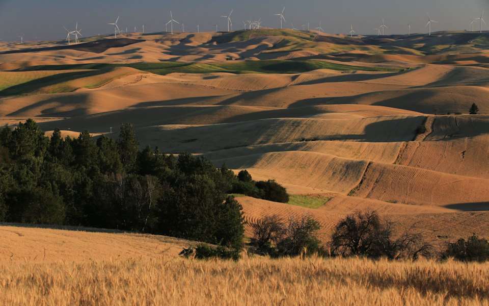 Colfax, WA Neighborhood Guide | Living in Colfax