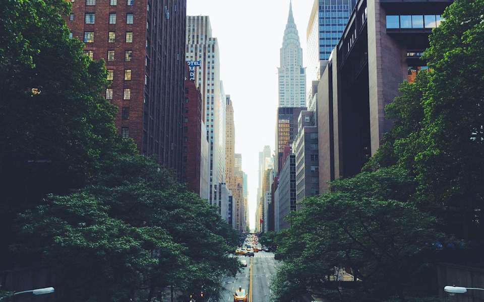 Midtown East | Neighborhood Guide