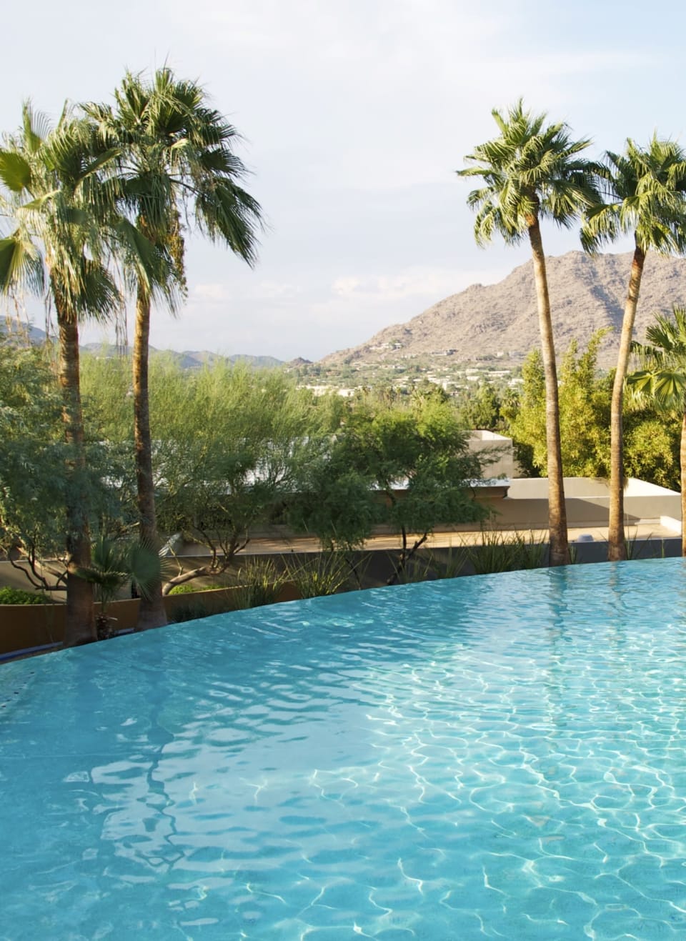 Palm Desert, CA Neighborhood Guide | Andrew Paul Shouse