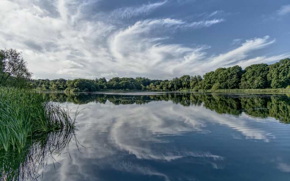 Fun Family Activities To Enjoy in Belle Meade | Blog | David Hatef