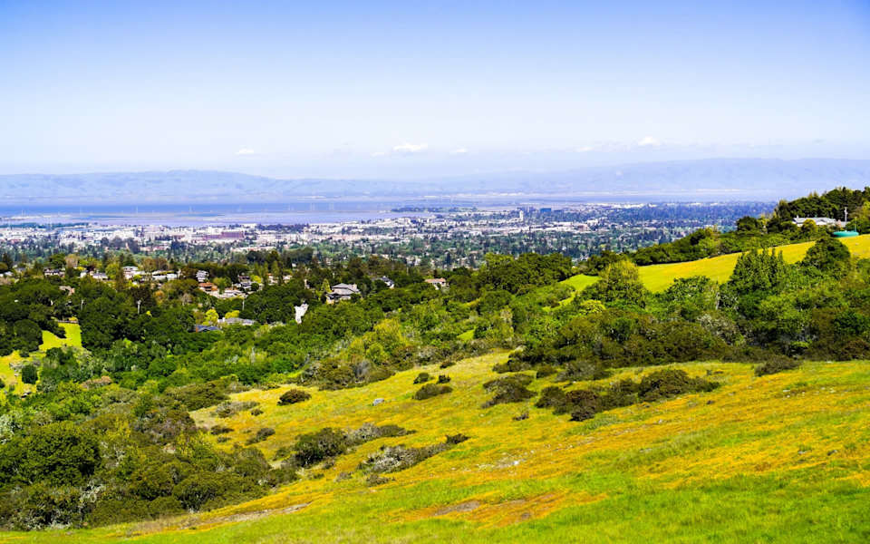Menlo Park Real Estate | Community Guide | Elizabeth Thompson