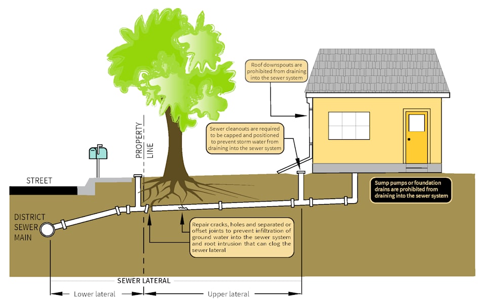 Sewer Laterals - What Are They? | David Bergman | David Bergman