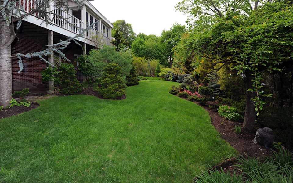 The Benefits of a Landscape Screen | Blog