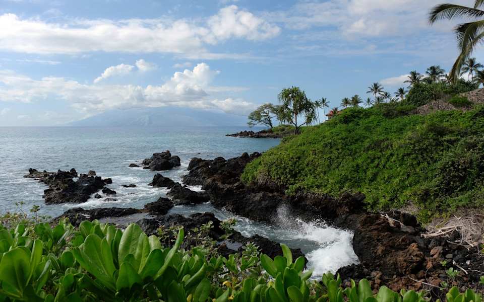 Central Maui | Community Guide