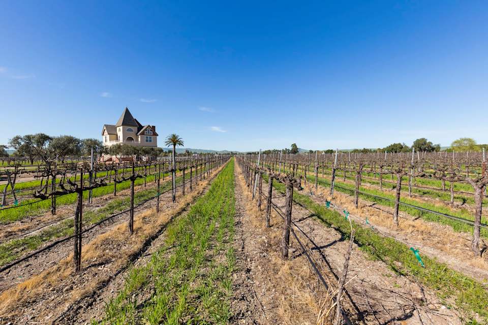 Livermore | Community Guide | Gina Piper