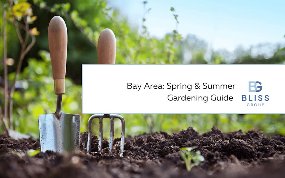 Bay Area: Spring and Summer Gardening Guide