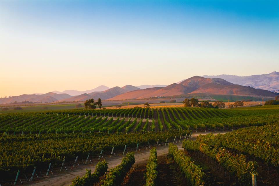 Santa Ynez | Area Guide