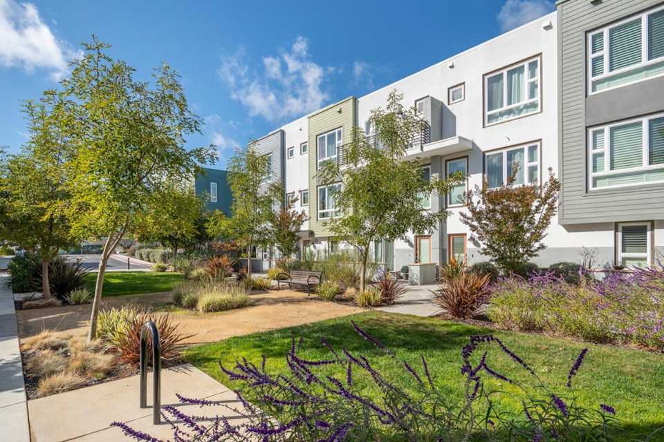 Bay Meadows | Community Guide