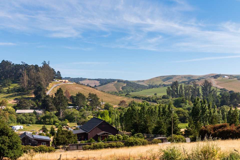 Sebastopol | Neighborhood Guide