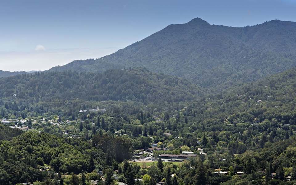 Greenbrae | Neighborhood Guide | Phillipa Criswell