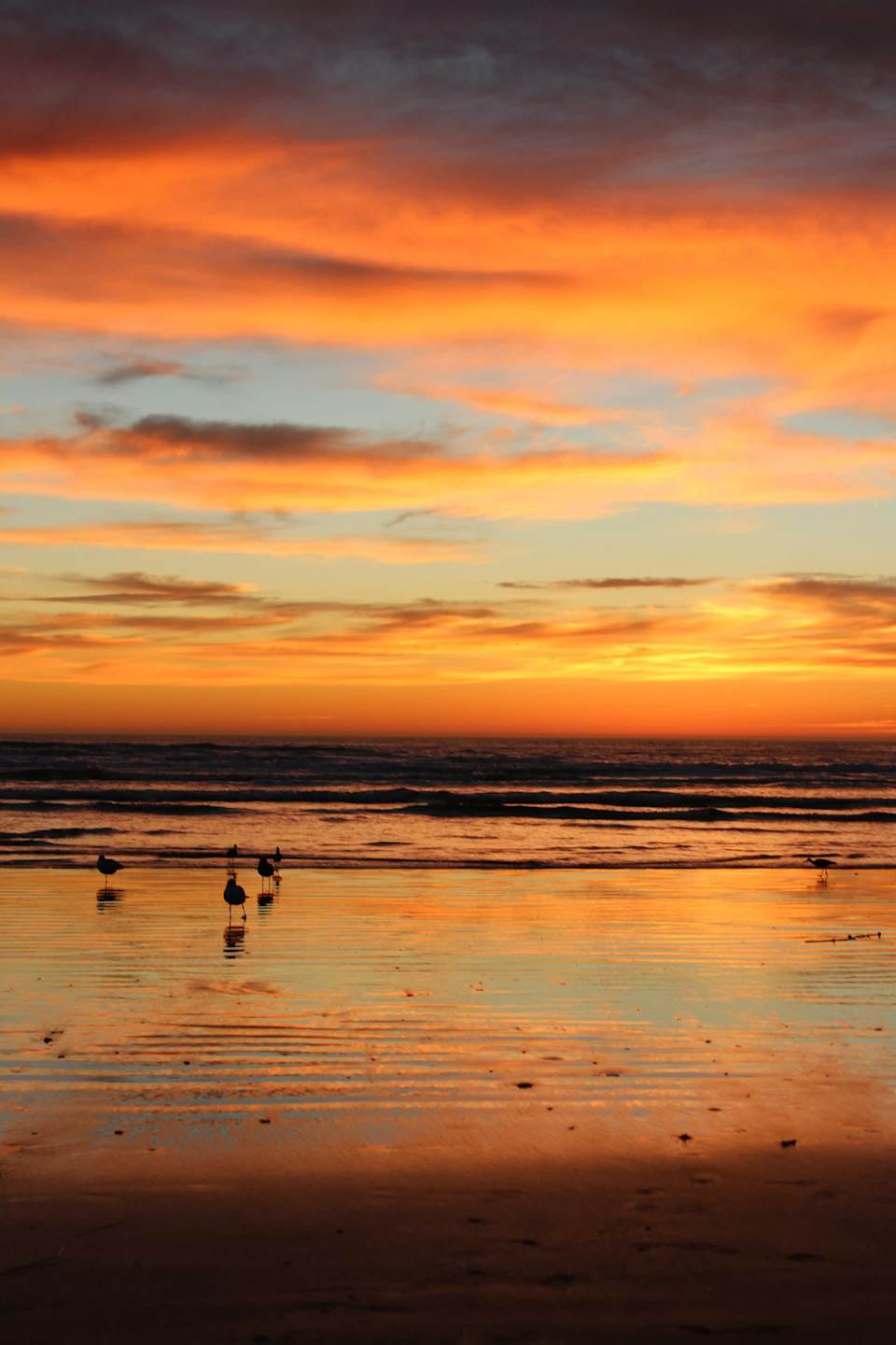 Top Cape Cod Real Estate Agent | Cliff Carroll