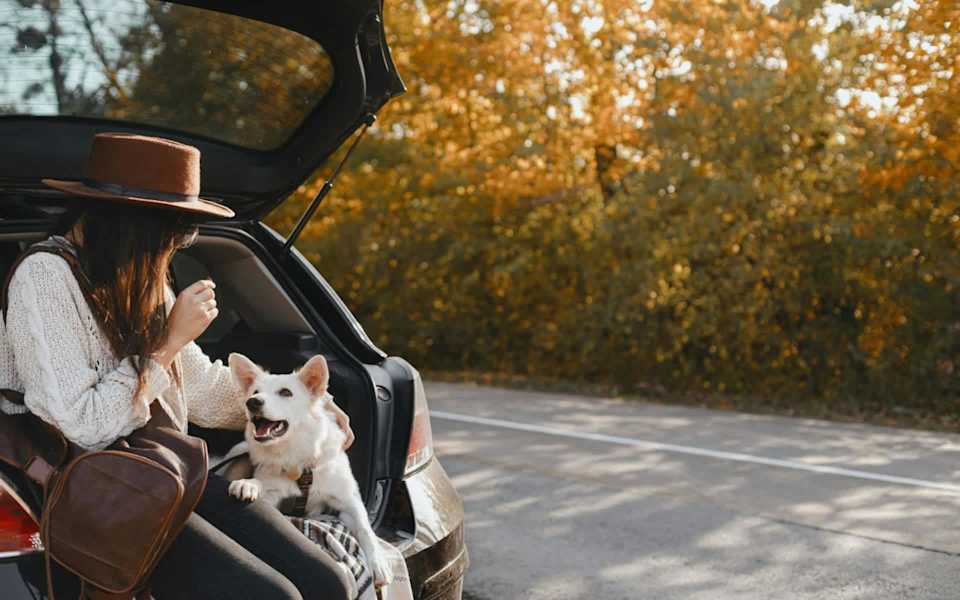 14 Things To Do When Moving To A New State | Blog | Johnny Kloster
