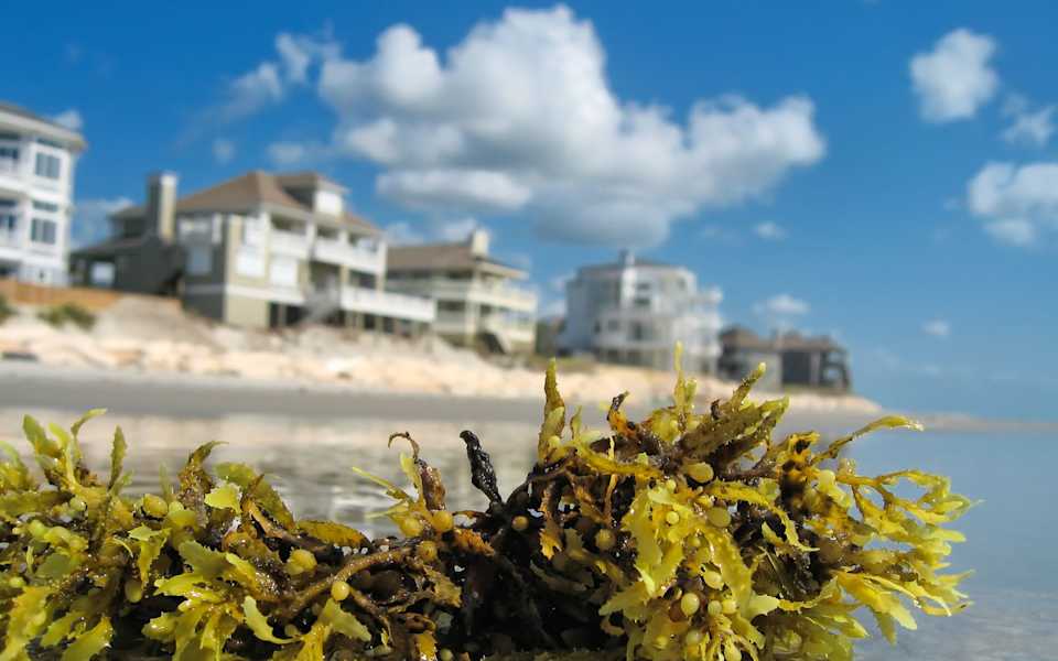 Discover Figure Eight Island Neighborhood Guide