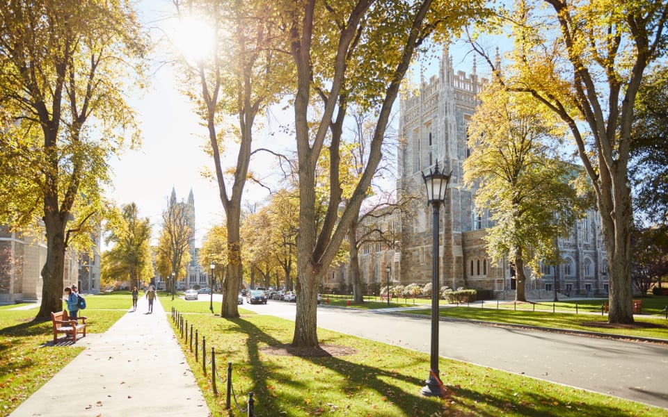 Chestnut Hill | Neighborhood Guide | Trish Dantis Real Estate Team