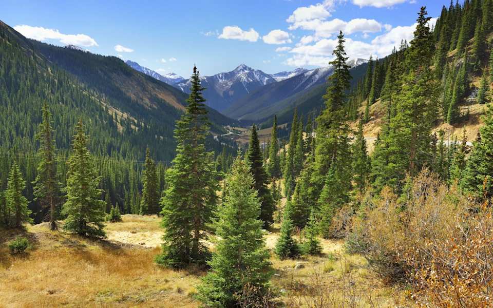 Explore Peace and Quiet: Conifer, Colorado Residences.