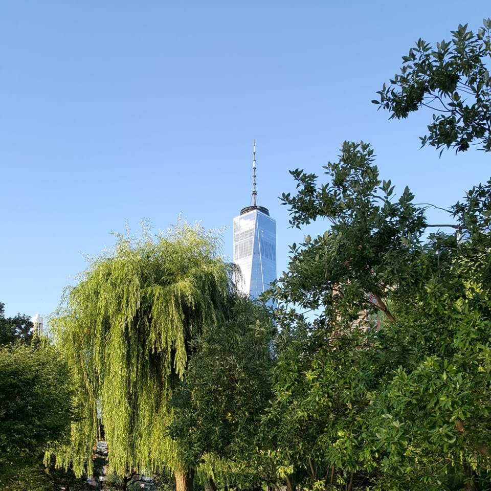 FiDi | Neighborhood Guide