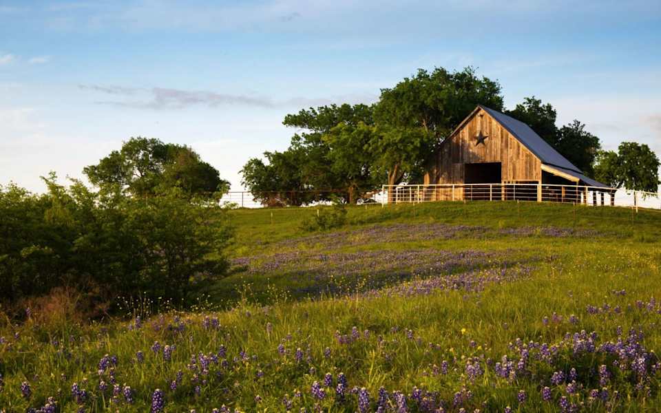 Owning a Texas Ranch: Lifestyle vs. Investment | Blog | Gaines Slade