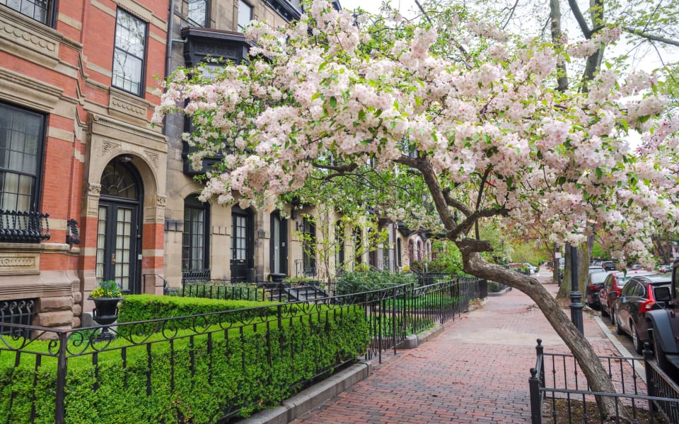 Back Bay | Neighborhood Guide | Zack Harwood