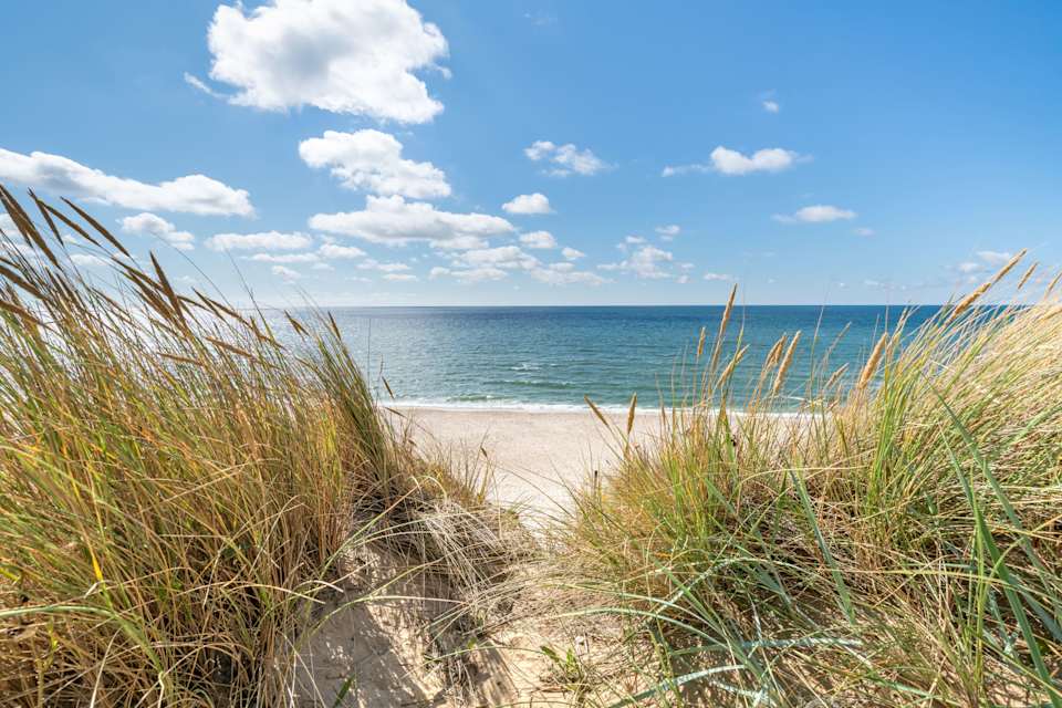 North Sea | Neighborhood Guide