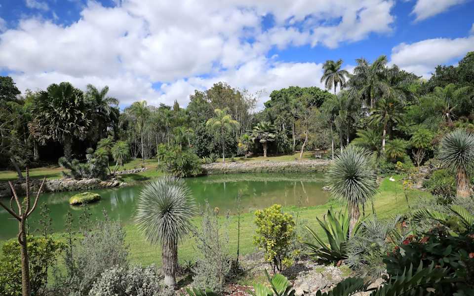 Pinecrest | Neighborhood Guide