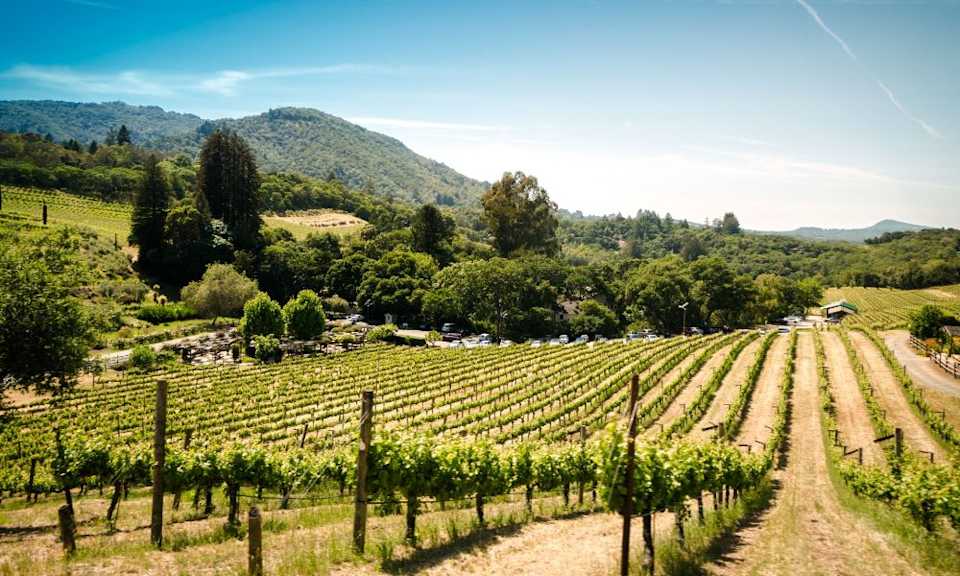 Which Napa Valley Neighborhood is Right for you? | Blog | Carolyn ...