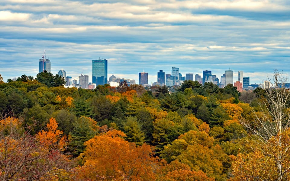 Jamaica Plain | Neighborhood Guide | Zack Harwood